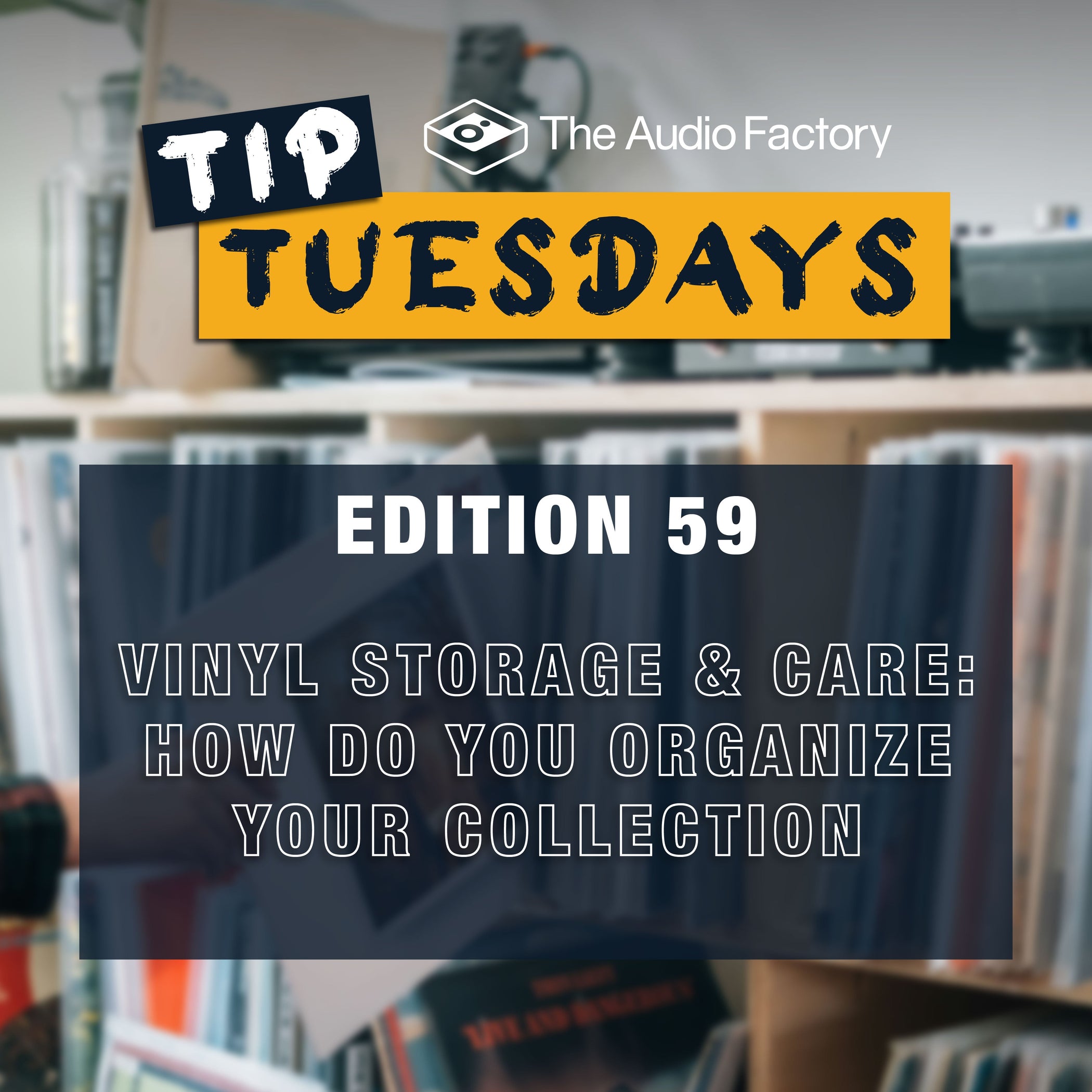 Tip Tuesdays Edition 59: Vinyl Storage & Care – How Do You Organize Yo ...