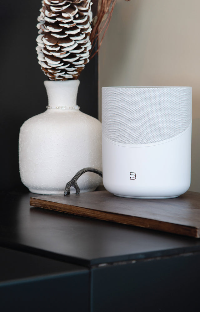 The Audio Factory - Consumer Electronics – The Audio Factory - USA